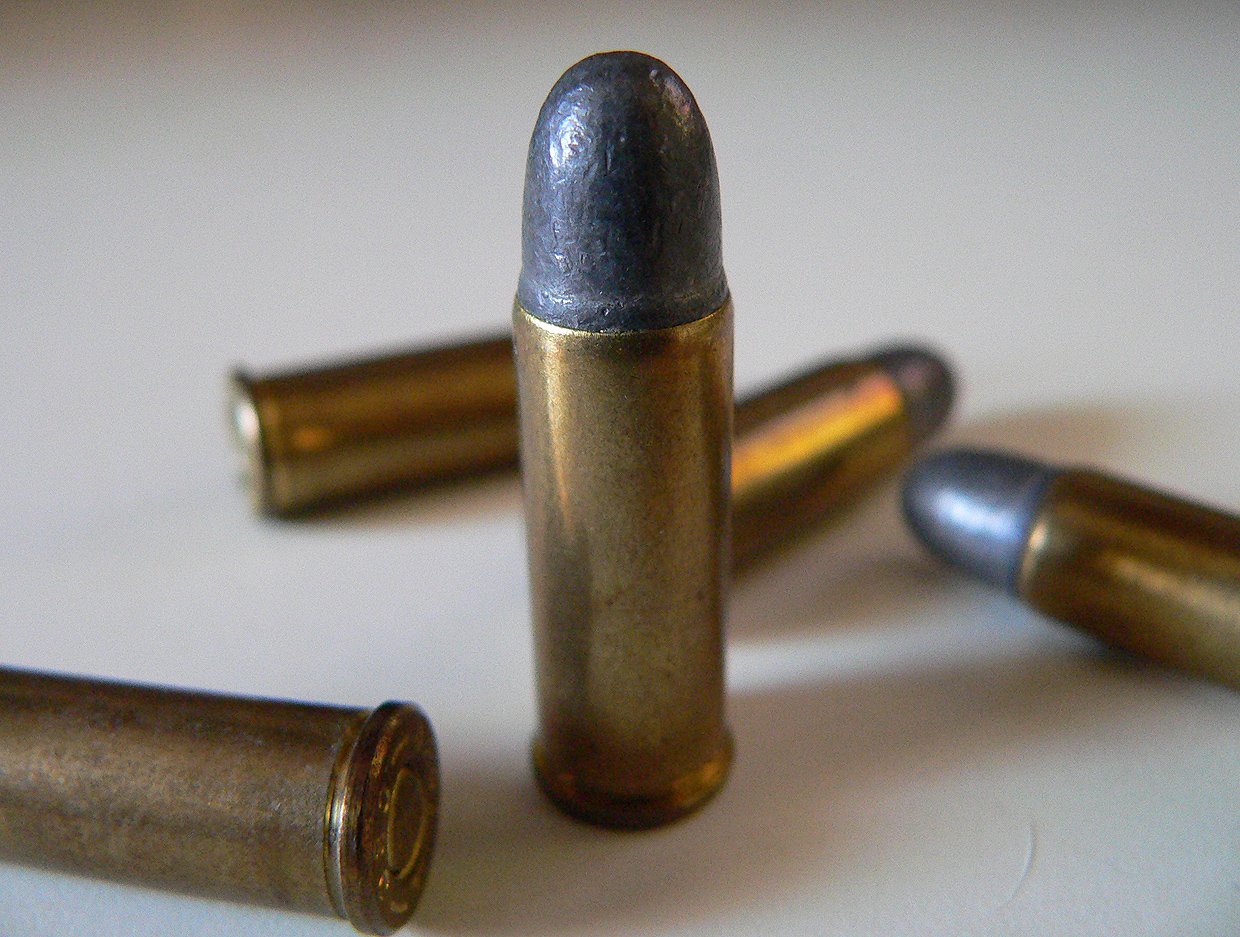 Lead Ammo Protection Passes U.S. House with Strong Bipartisan Support Lead Ammo Protection Passes U.S. House with Strong Bipartisan Support