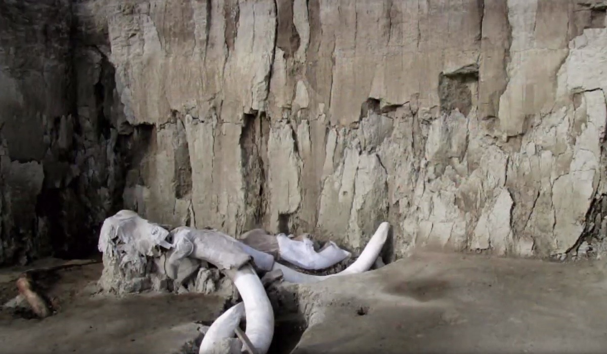 Human-Built Woolly Mammoth Traps Unearthed in Mexico | OutdoorHub Human-Built Woolly Mammoth Traps Unearthed in Mexico | OutdoorHub