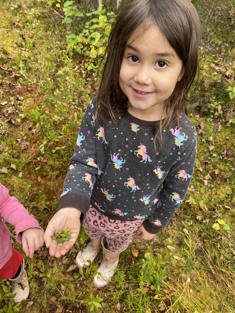 Eat Wild Plants! - How to Safely Forage Wild Edibles | OutdoorHub Eat Wild Plants! - How to Safely Forage Wild Edibles | OutdoorHub