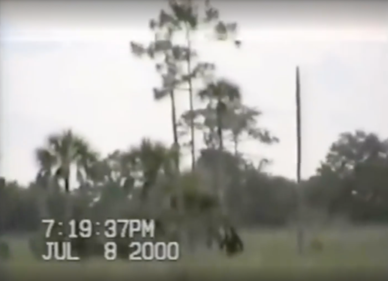 Stalking the Mysterious Skunk Ape of Florida's Swamplands | OutdoorHub